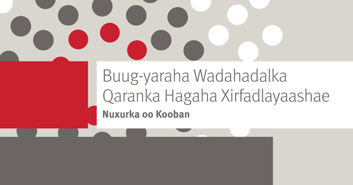 Buug-yaraha Wadahadalka Qaranka Hagaha Xirfadlayaashae - Berghof Foundation